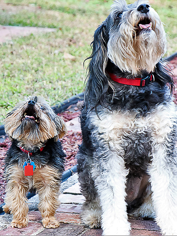 About VP Medical Consulting - VP-Medical Consulting